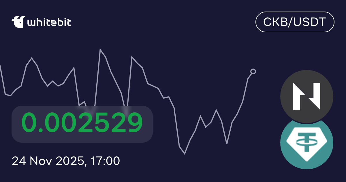 0.010009 CKB-USDT | Trade Nervos Network to Tether US | WhiteBIT