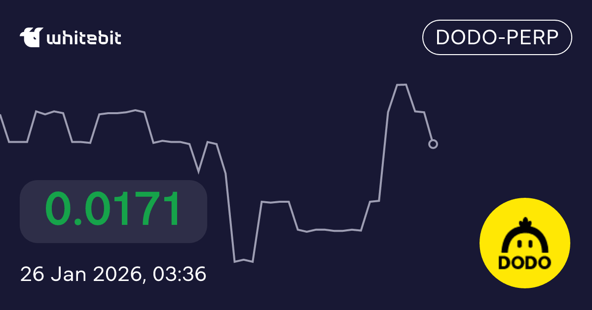 0.045477 DODO-PERP | Trade DODO future contract | WhiteBIT