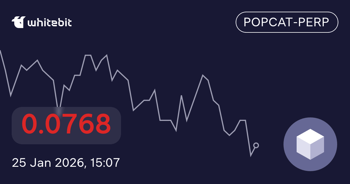 0.3907 POPCAT-PERP | Trade Popcat future contract | WhiteBIT